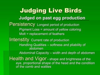 Judging of poultry | PDF