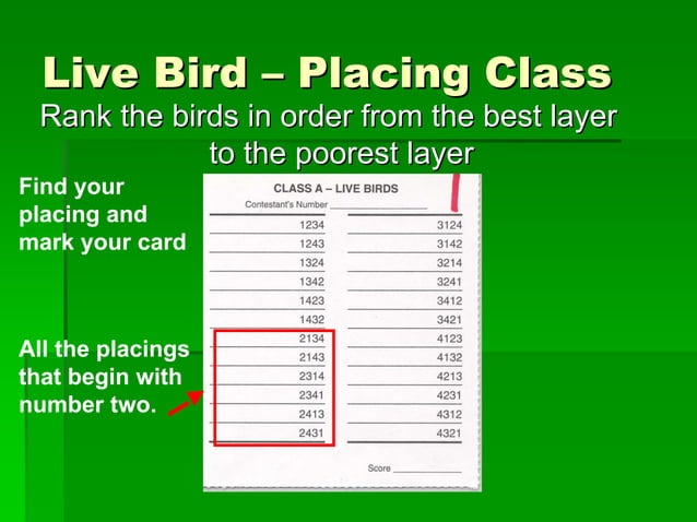 Judging of poultry | PDF