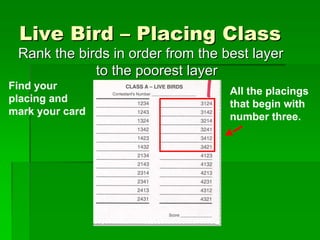 Judging of poultry | PPT