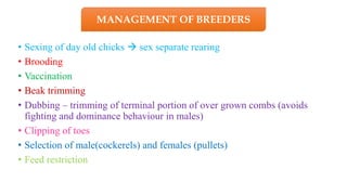 Judging & selection of breeder chicken.pptx