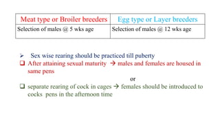 Judging & selection of breeder chicken.pptx