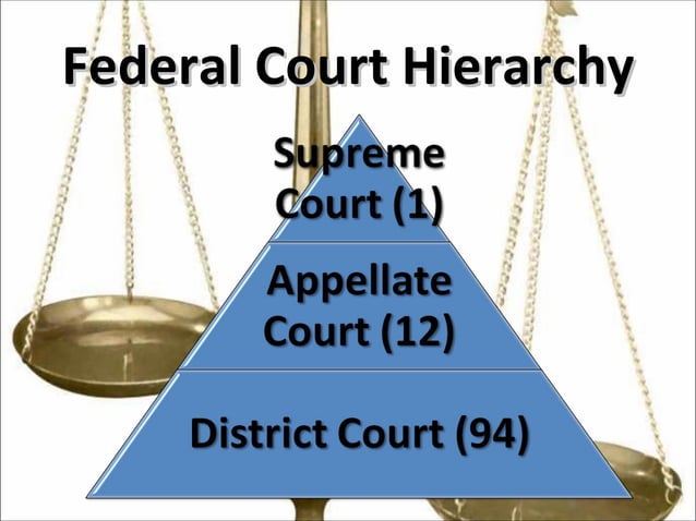 Judicial Branch | PPT