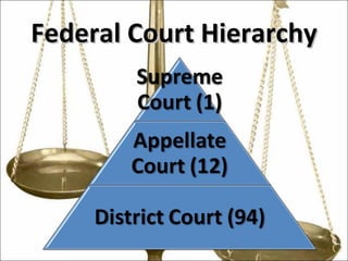 Judicial Branch | PPT