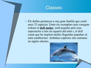 dofí | PPT