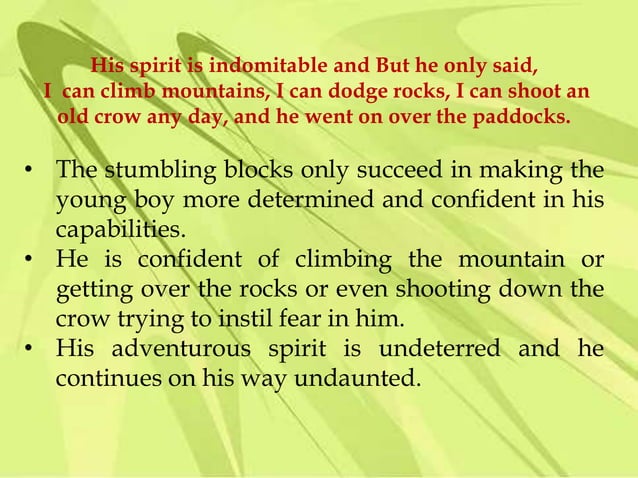 Judith Wright's poem Legend | PPT