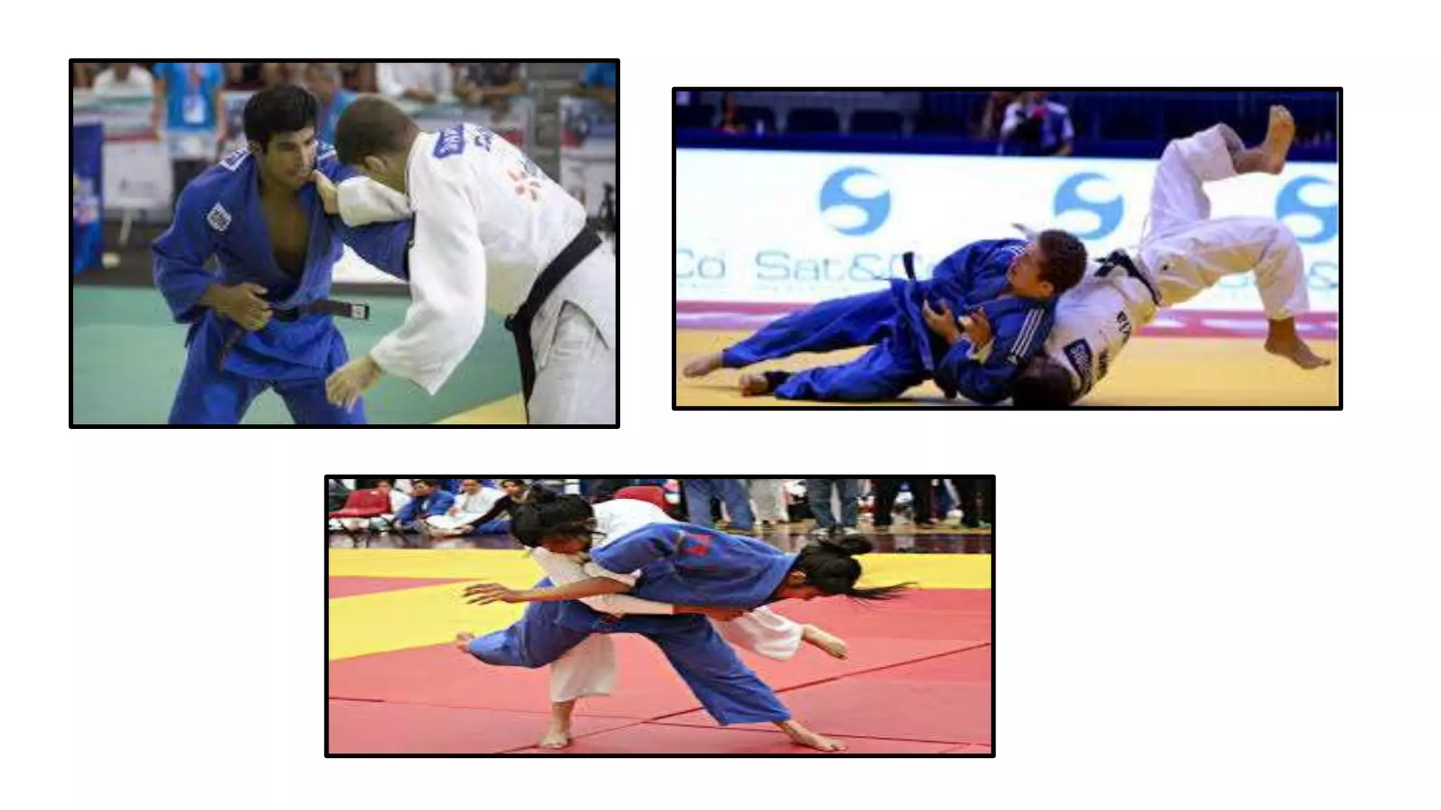 Judo | PPTX