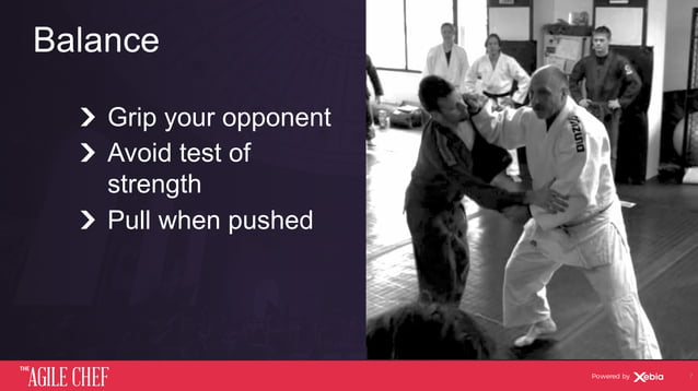 Judo Strategy | PDF