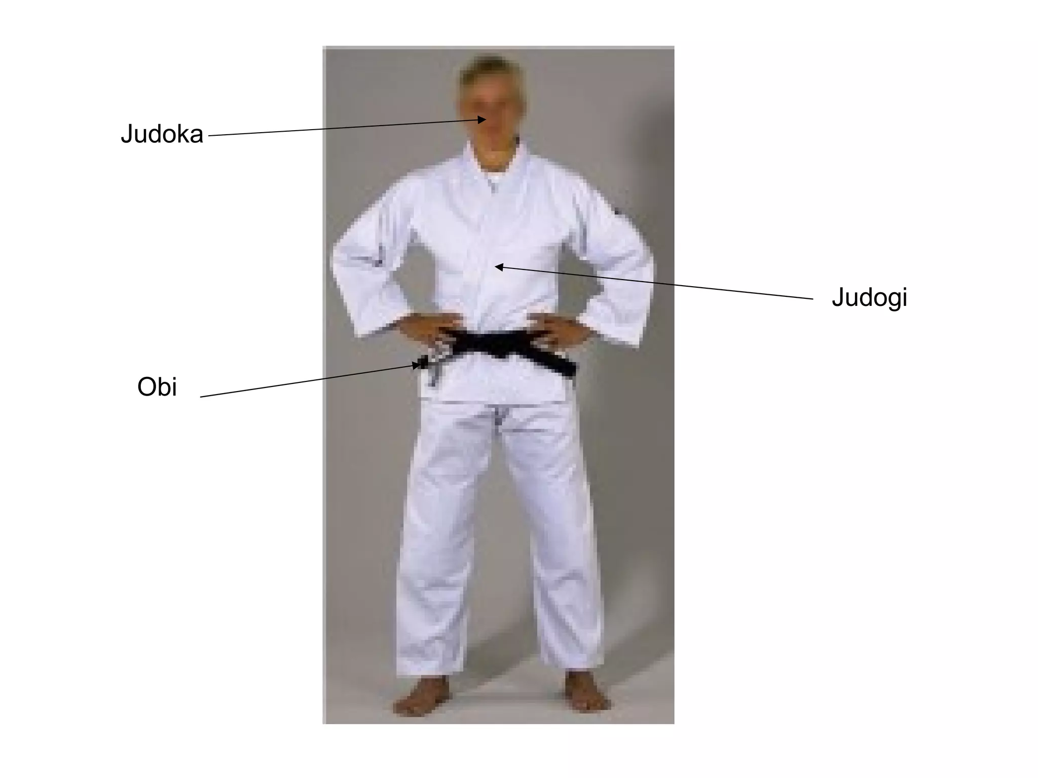 Judo Syllabus To 6th Mon | PPT