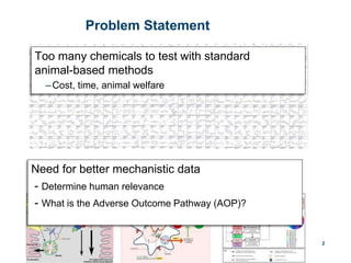 Using Computational Toxicology to Enable Risk-Based Chemical Safety ...