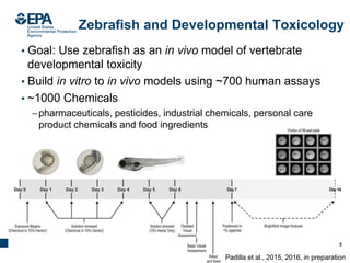 Using Computational Toxicology to Enable Risk-Based Chemical Safety ...