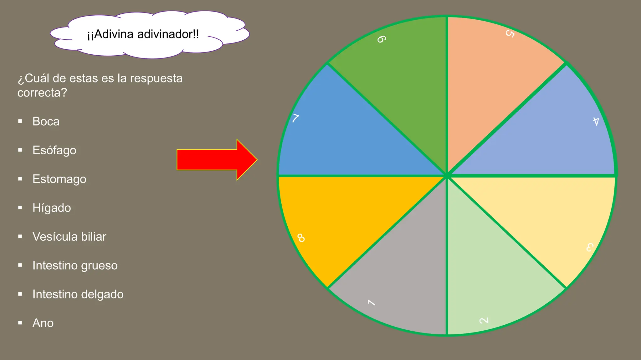 Juego Para Realizar Del Sistema Digestivo Ppt