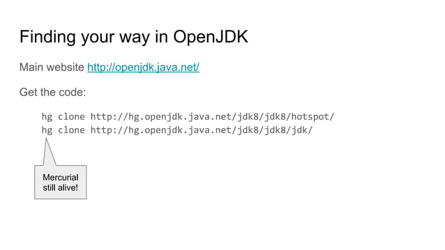 Inside the JVM - Follow the white rabbit! | PDF | Programming Languages ...