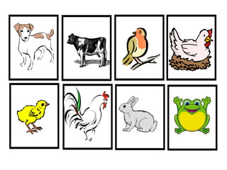 Reproduccion De Animales Oviparous Animal Clipart