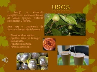 El Jugo de Borojo | PPSX