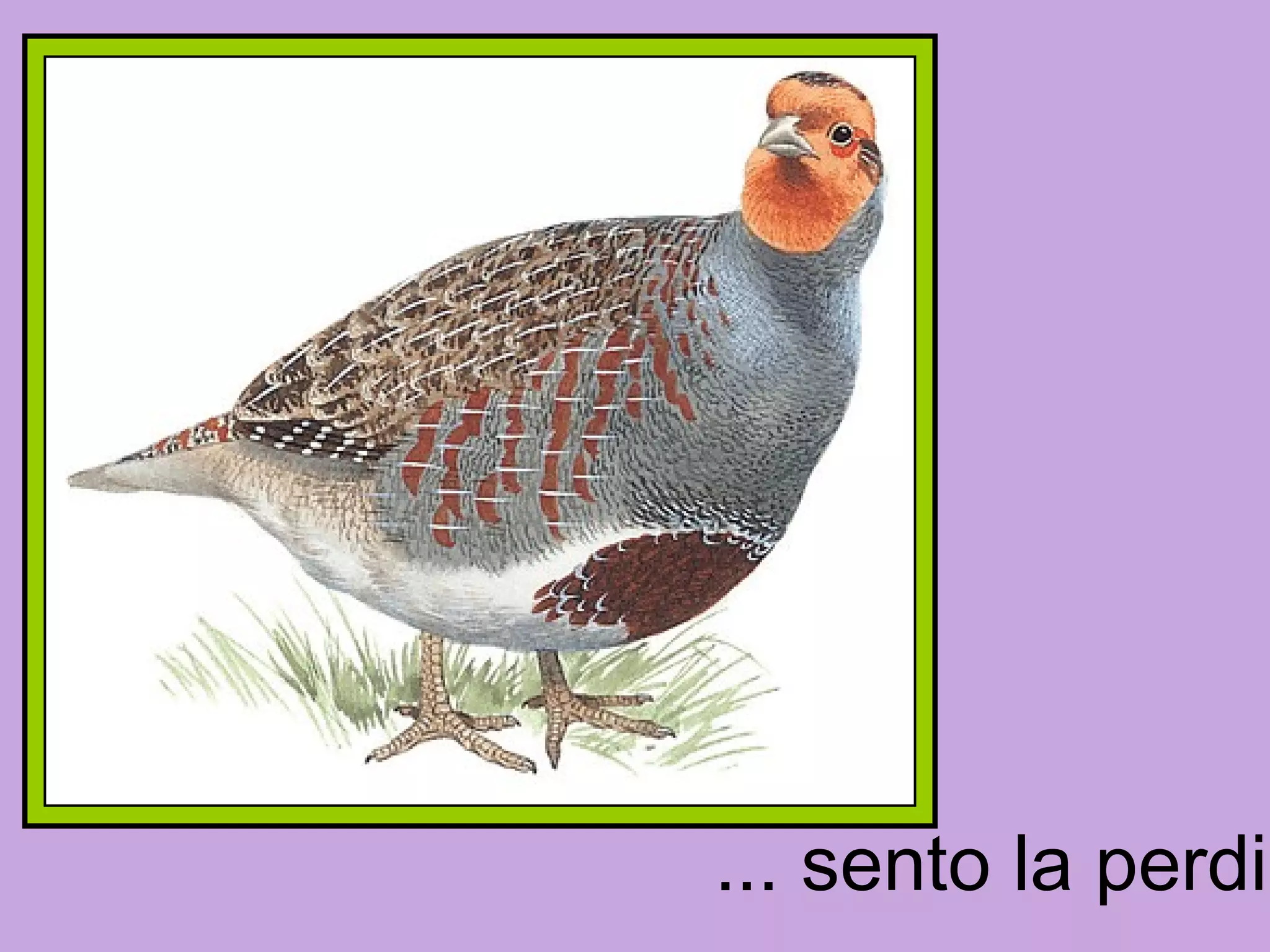 Juguem amb dites | PPT