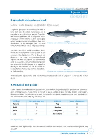 Juguem a pescar infantil mmb | PDF