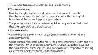 jugular foramen anatomy in neuro anatomy | PPTX