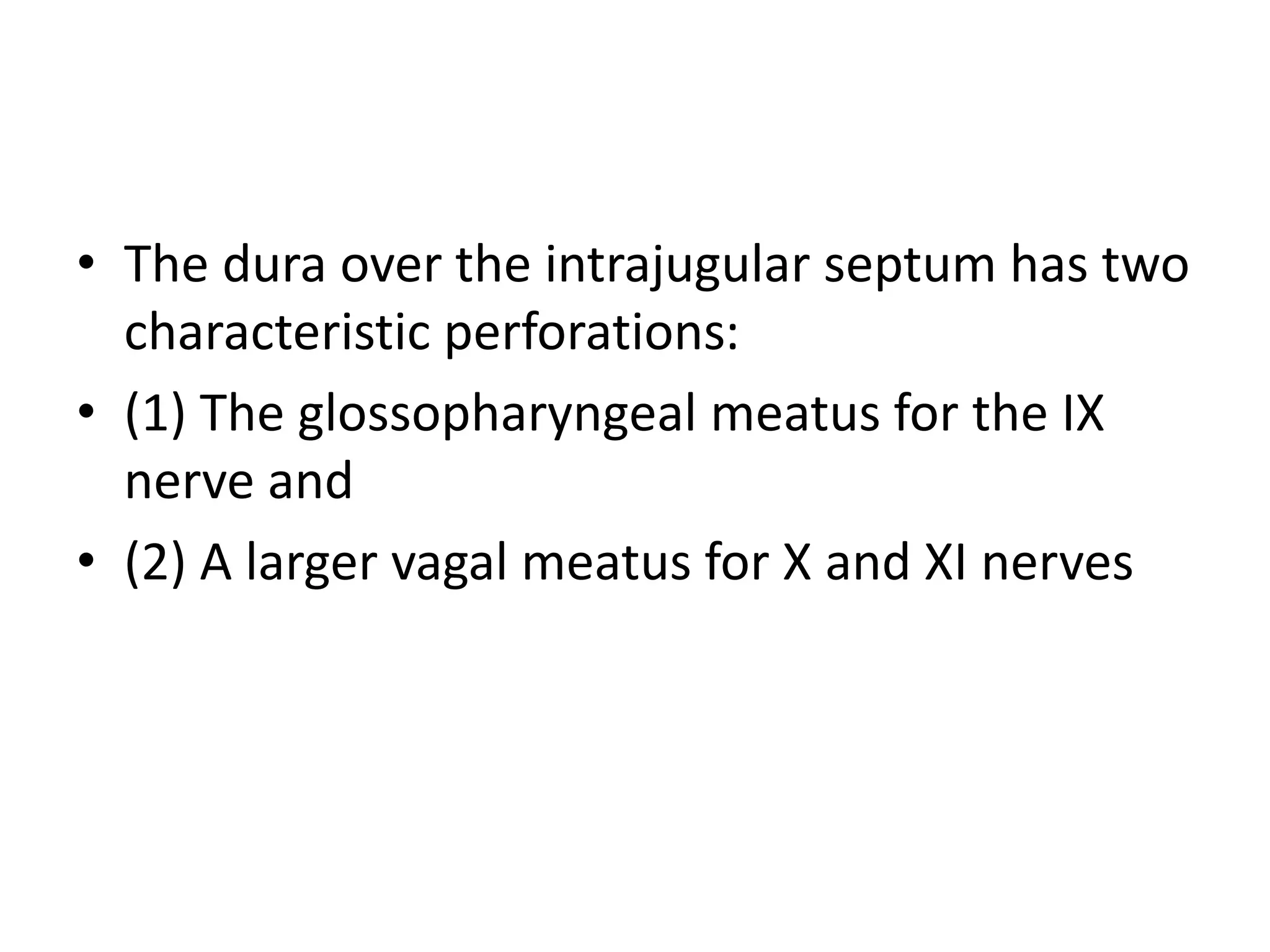 Jugular foramen anatomy and approaches | PPTX