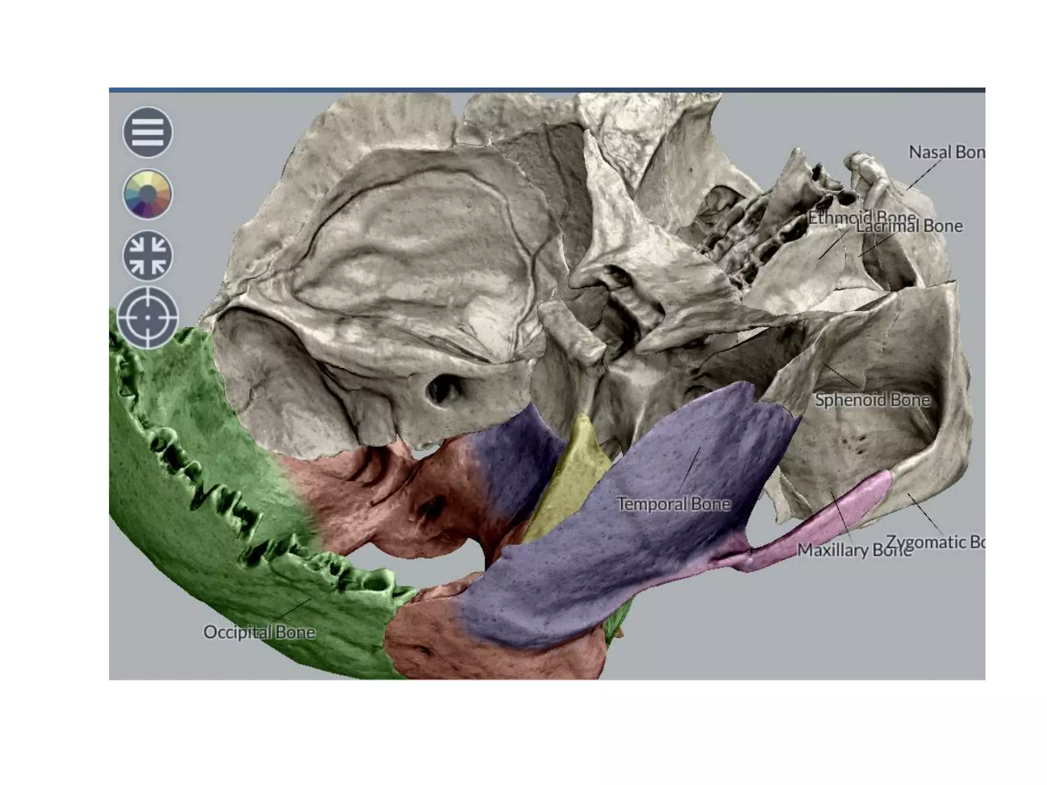 Jugular foramen anatomy and approaches | PPTX