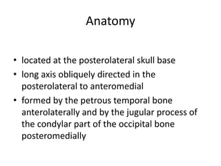 Jugular foramen anatomy and approaches | PPTX