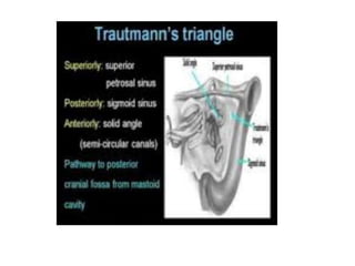 Jugular foramen anatomy and approaches | PPTX