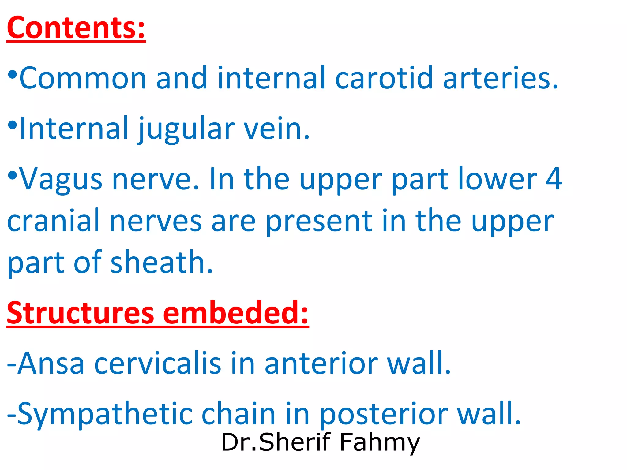 Jugular Veins, Sympathetic Chain & Cervical Plexus (Anatomy of the Neck ...