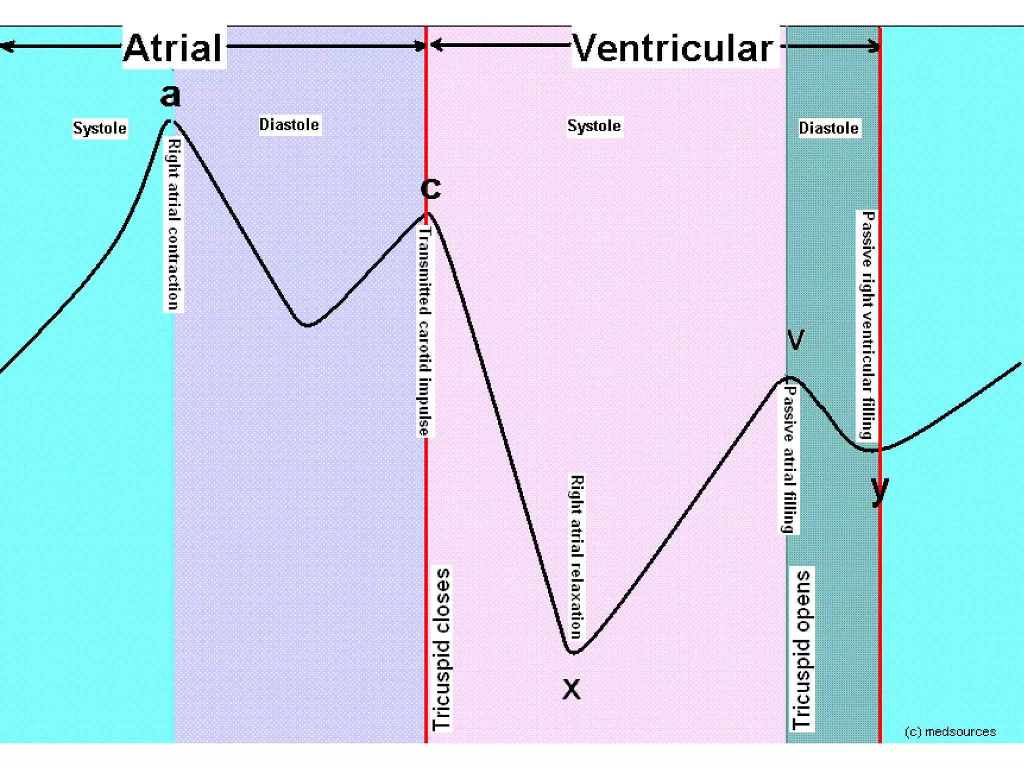 Jugular Venous Pressure (JVP) Jugular Venous Pulse | PPT