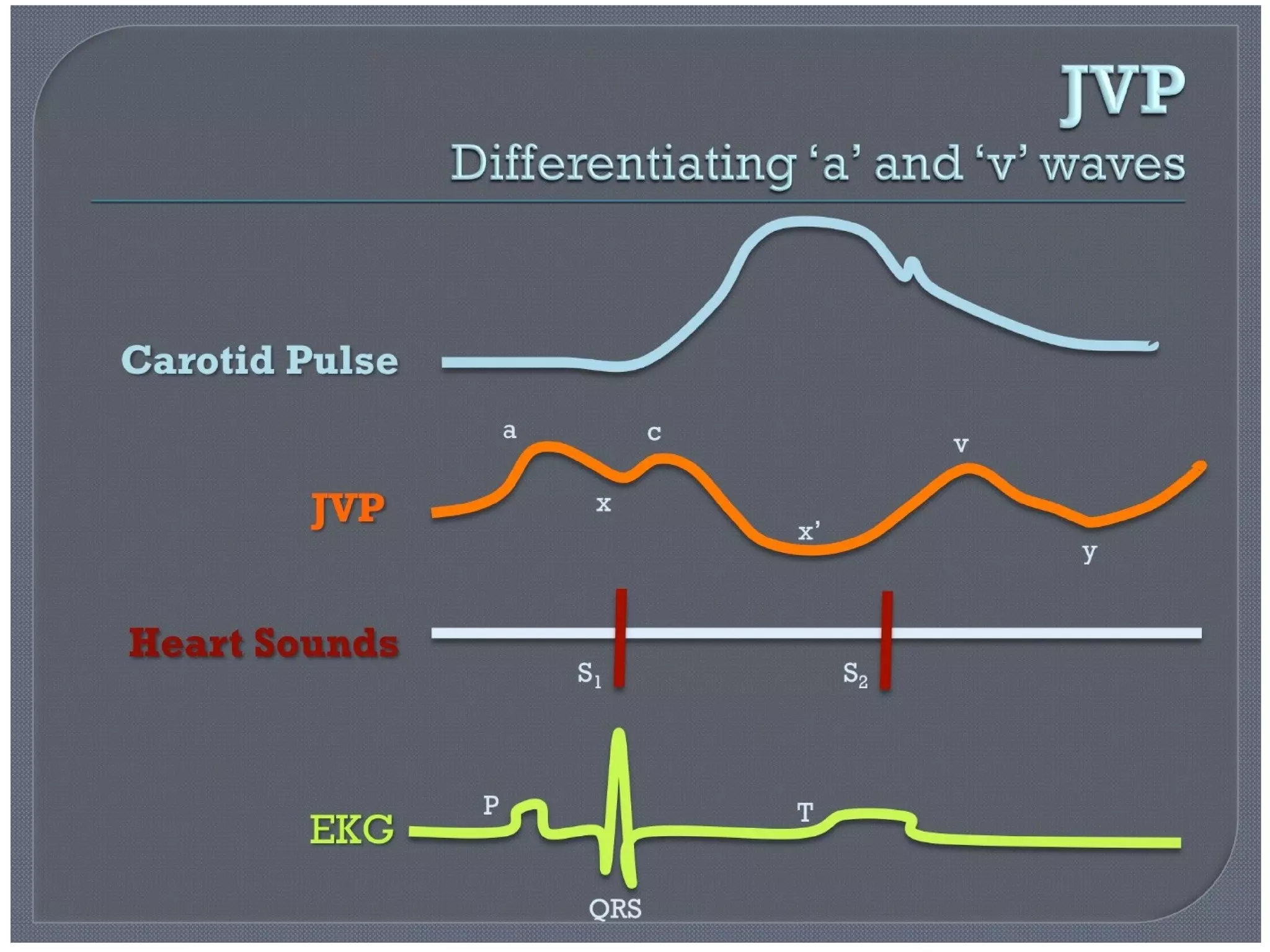 Jugular Venous Pressure (JVP) Jugular Venous Pulse | PPT