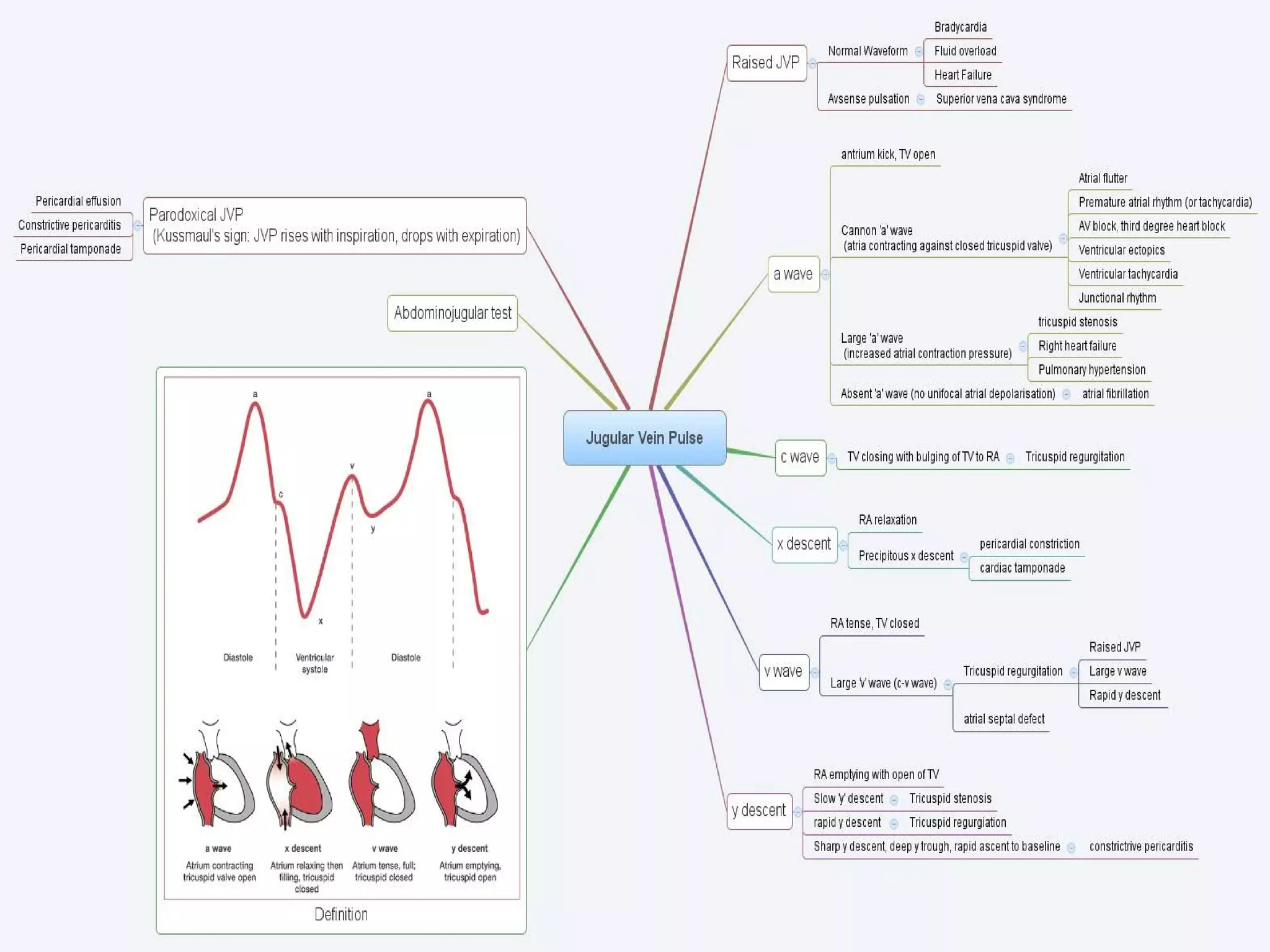 Jugular Venous Pressure (JVP) Jugular Venous Pulse | PPT