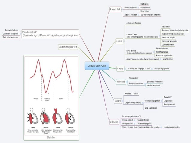 Jugular Venous Pressure (JVP) Jugular Venous Pulse | PPT