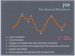 Jugular Venous Pressure (JVP) Jugular Venous Pulse | PPT