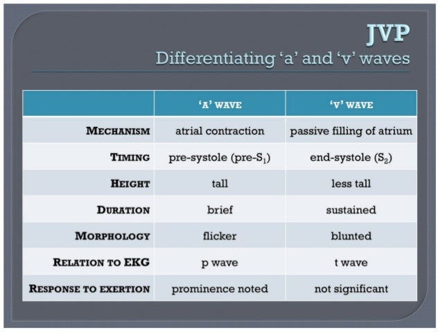 Jugular Venous Pressure (JVP) Jugular Venous Pulse