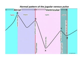 Jugular venous pressure and pulse pptx | PPTX