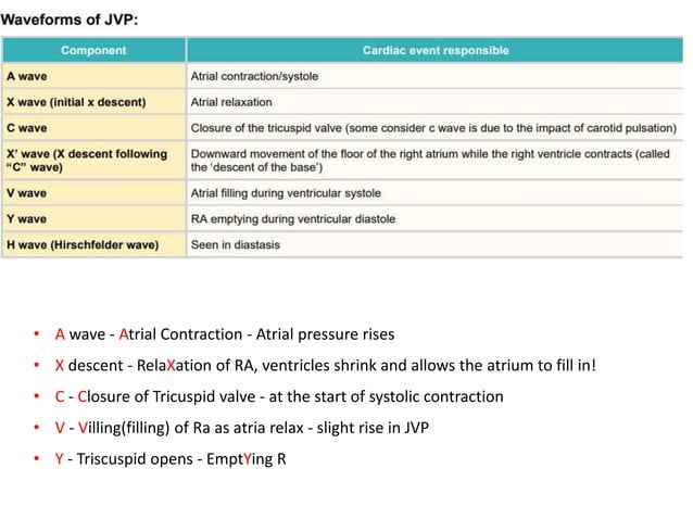 Jugular Venous Pulse (JVP).pptx