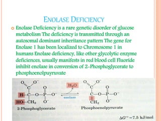 Malfunctions of Glycolysis | PPTX