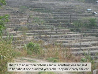 Juhm farming in nagaland1 | PPTX