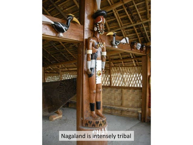 Juhm farming in nagaland1 | PPTX