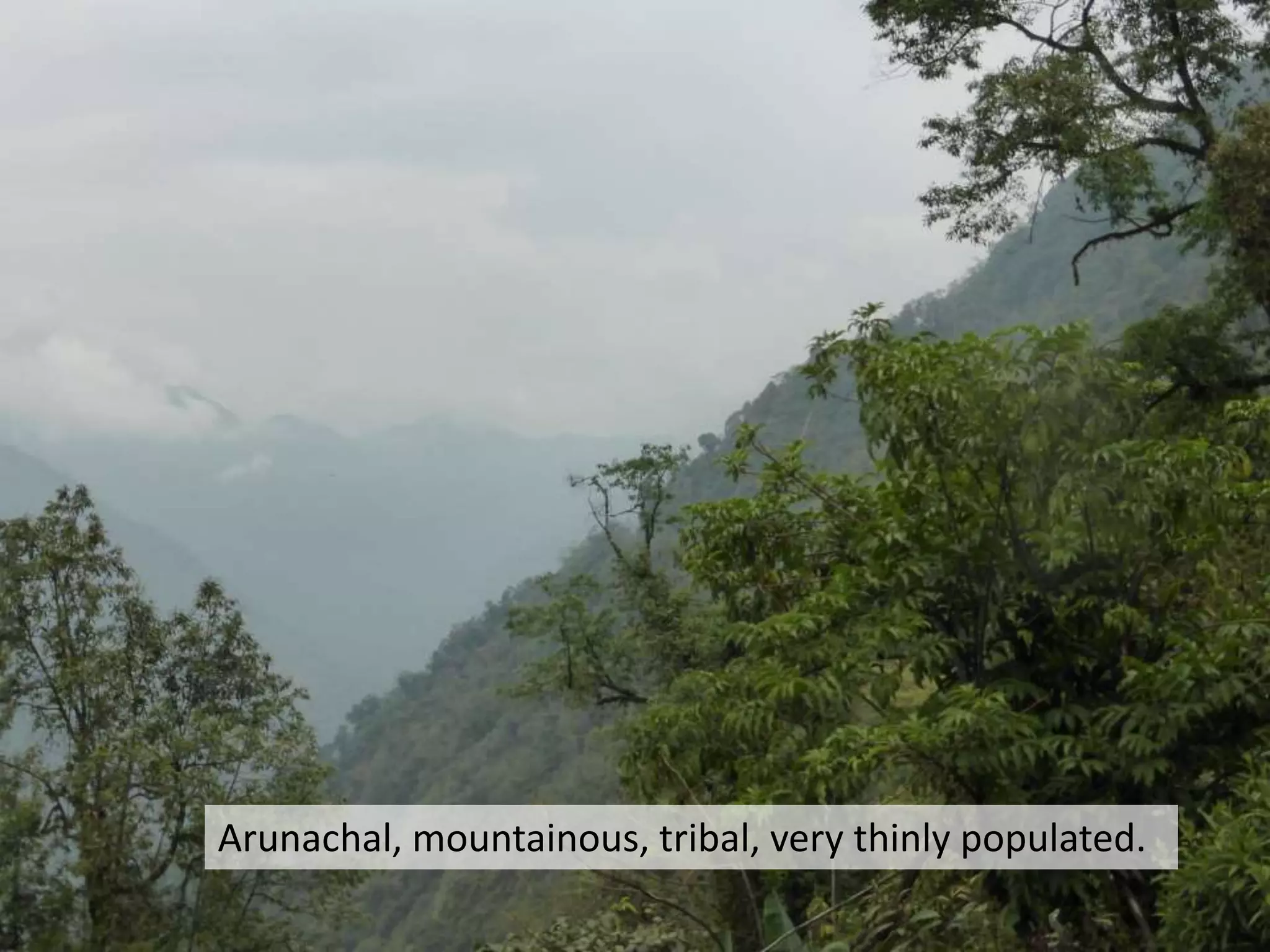 Juhm farming in north east india | PPTX | Asia Travel | Travel Locations