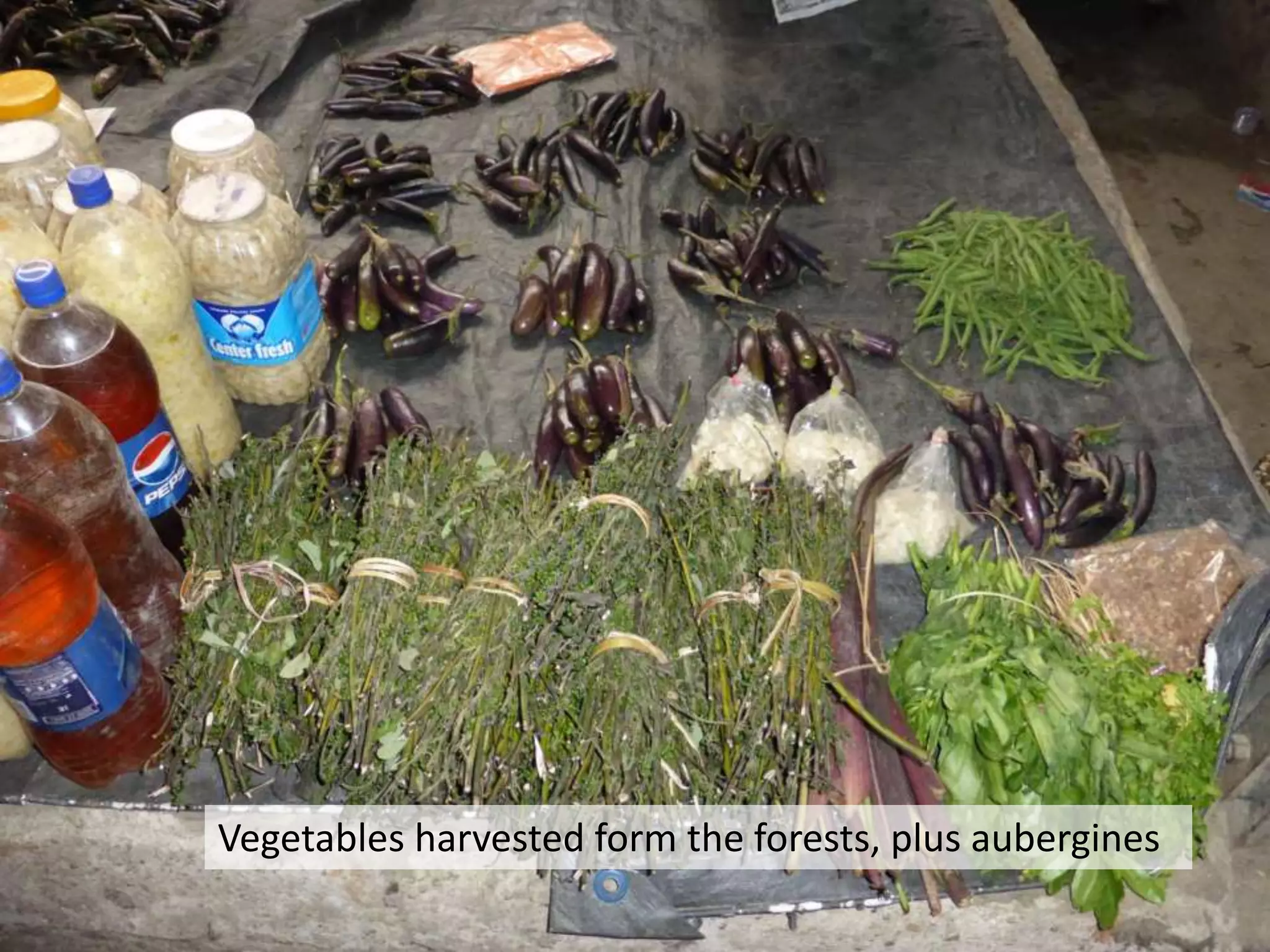 Juhm farming in north east india | PPTX | Asia Travel | Travel Locations