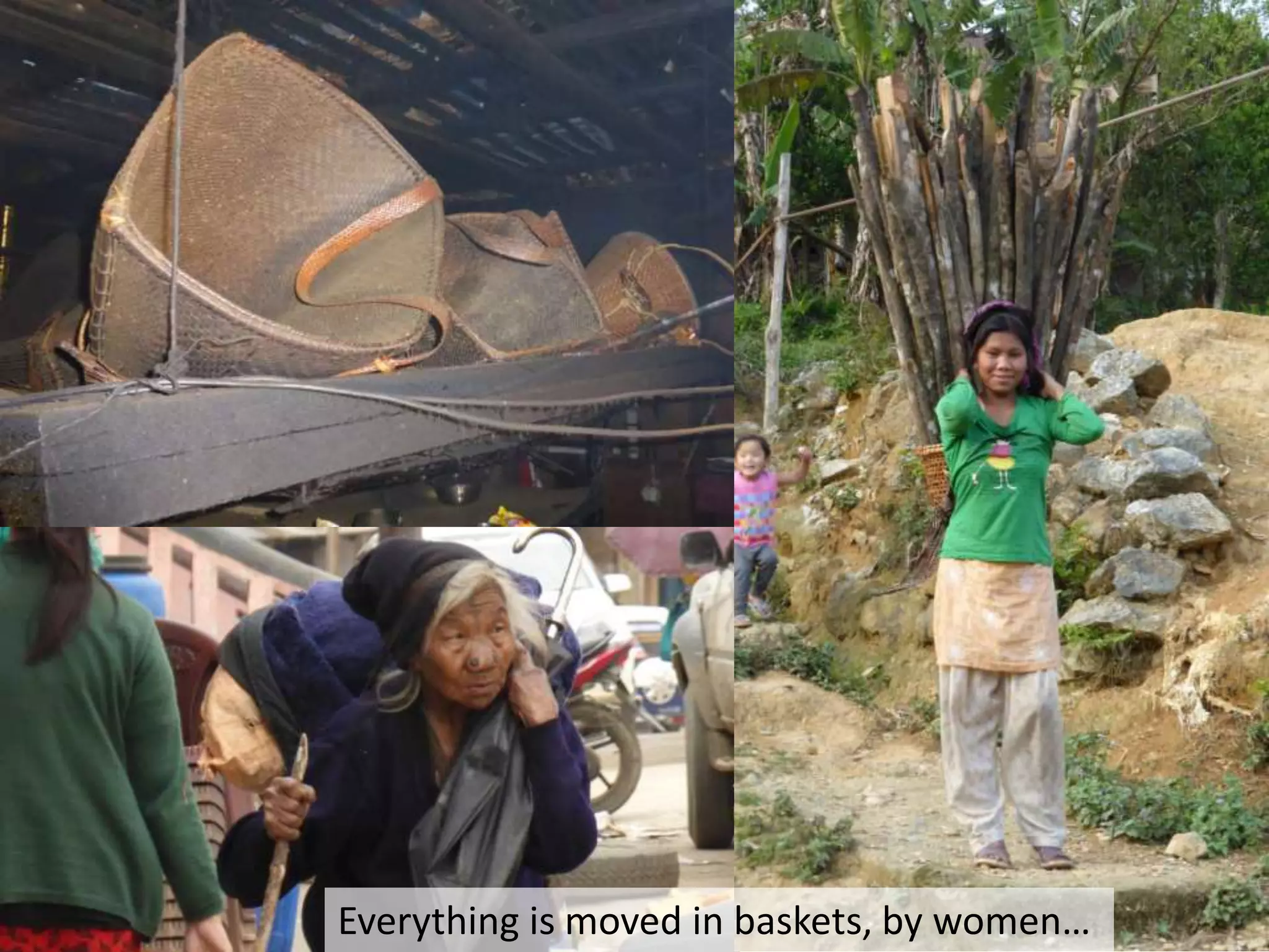 Juhm farming in north east india | PPTX | Asia Travel | Travel Locations