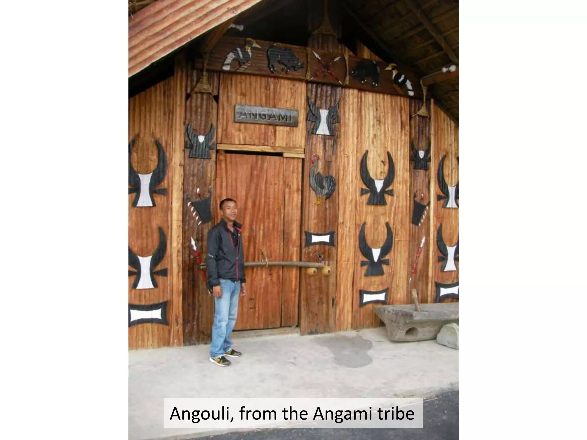 Juhm farming in north east india | PPTX | Asia Travel | Travel Locations