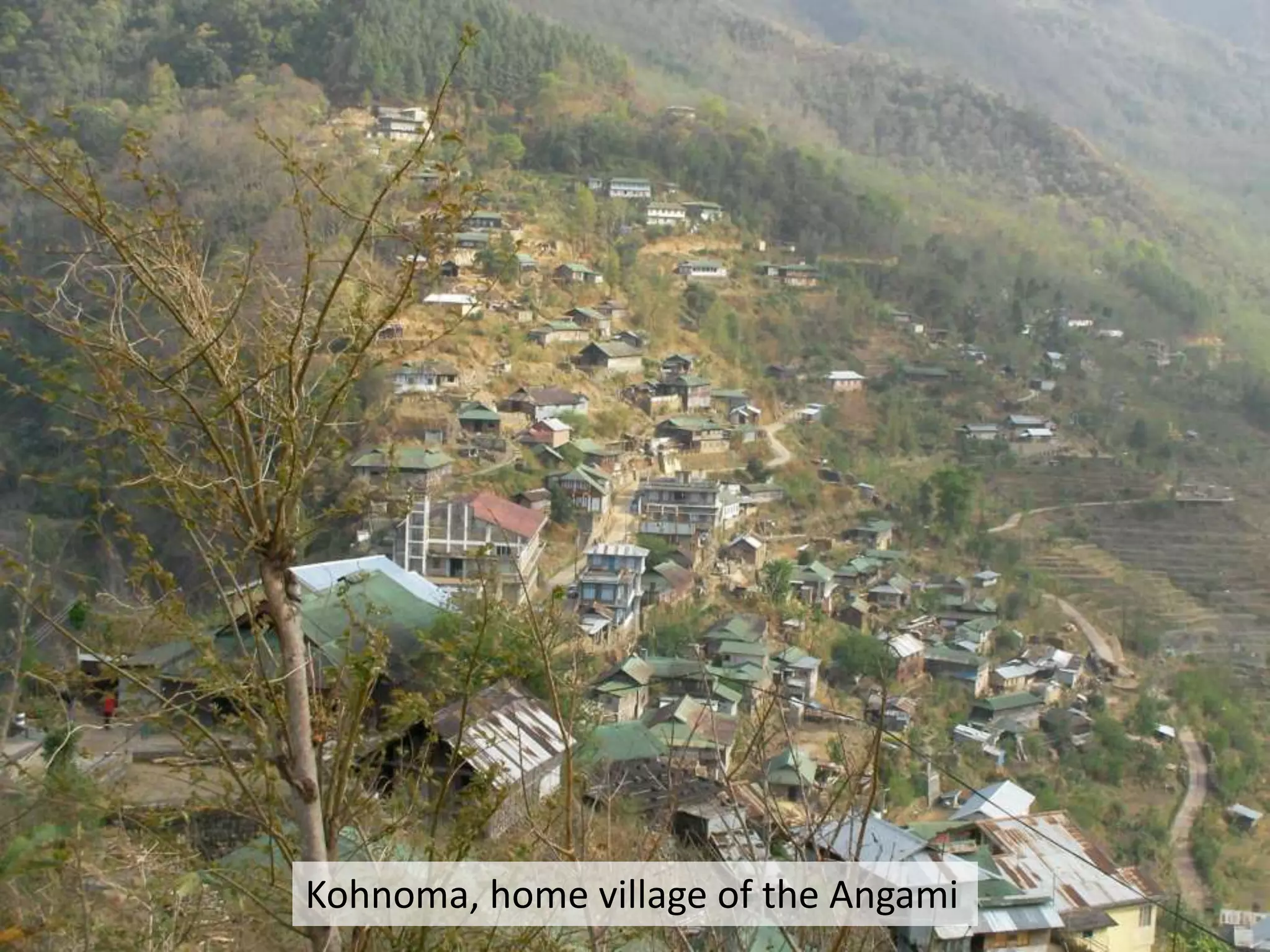 Juhm farming in north east india | PPTX | Asia Travel | Travel Locations