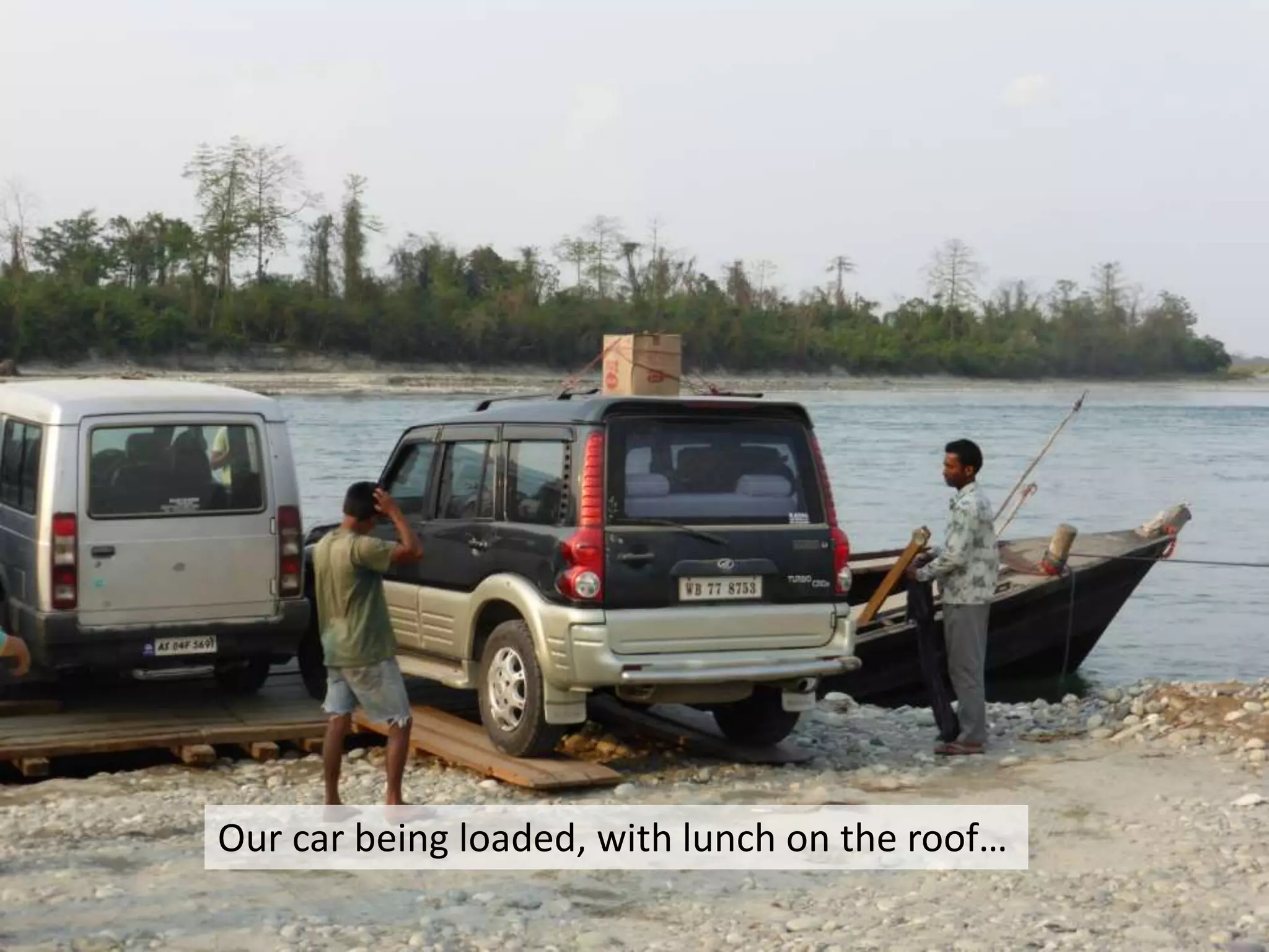 Juhm farming in north east india | PPTX | Asia Travel | Travel Locations