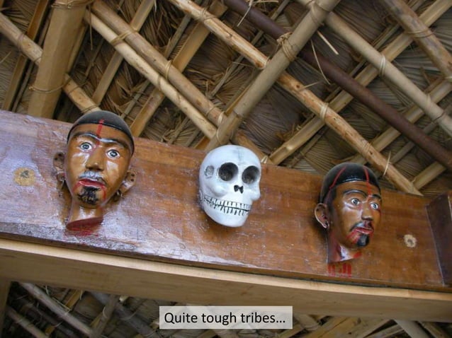 Juhm farming in north east india | PPTX | Asia Travel | Travel Locations