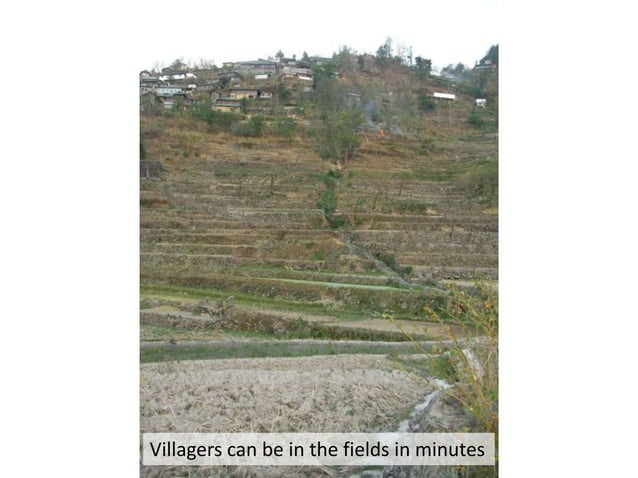 Juhm farming in north east india | PPTX | Asia Travel | Travel Locations