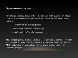 Cell Cycle and Control | PPT