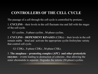 Cell Cycle and Control | PPT
