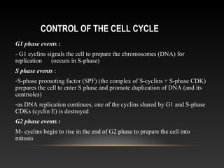 Cell Cycle and Control | PPT