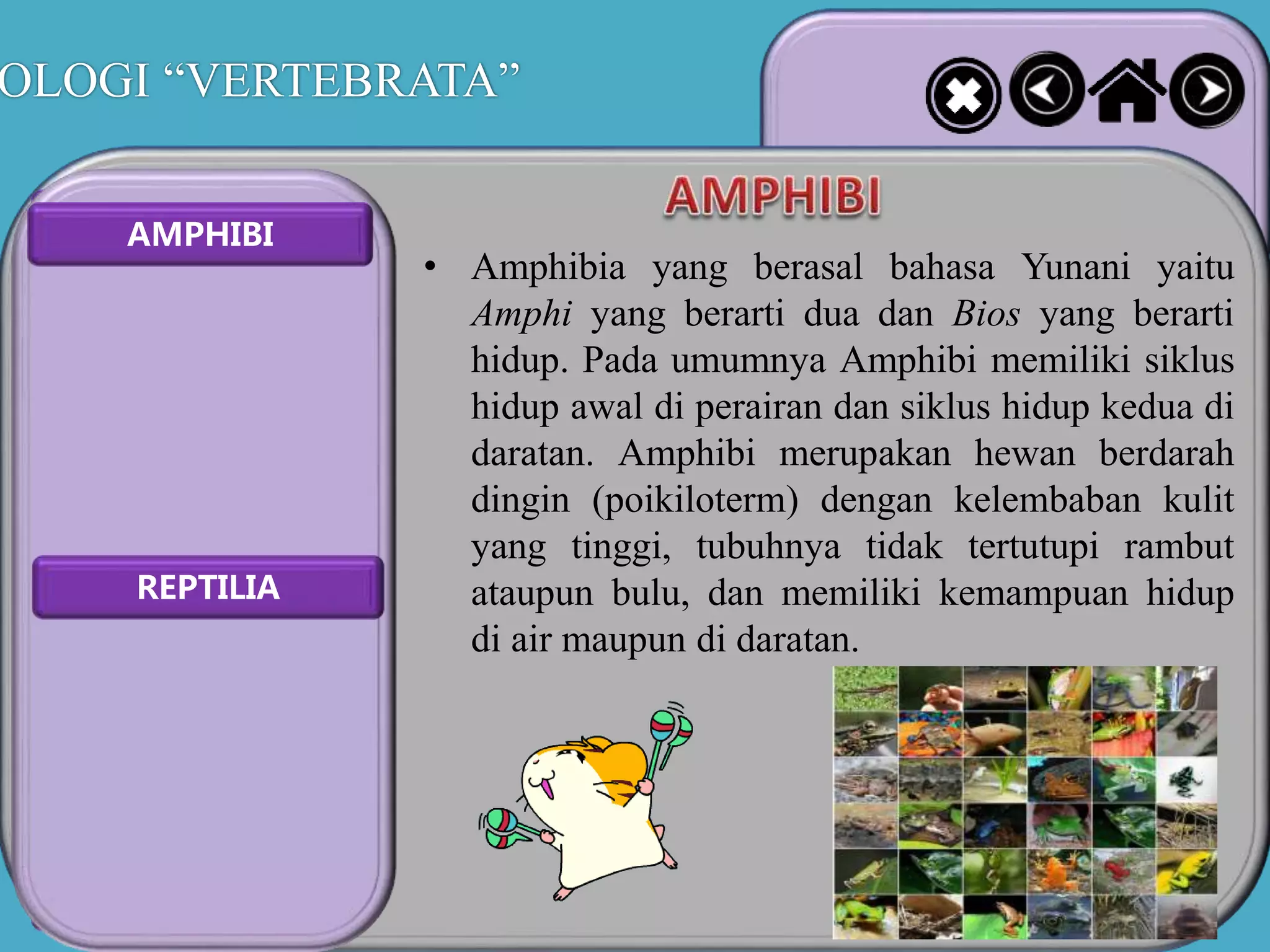 Amphibi dan Reptilia | PPTX