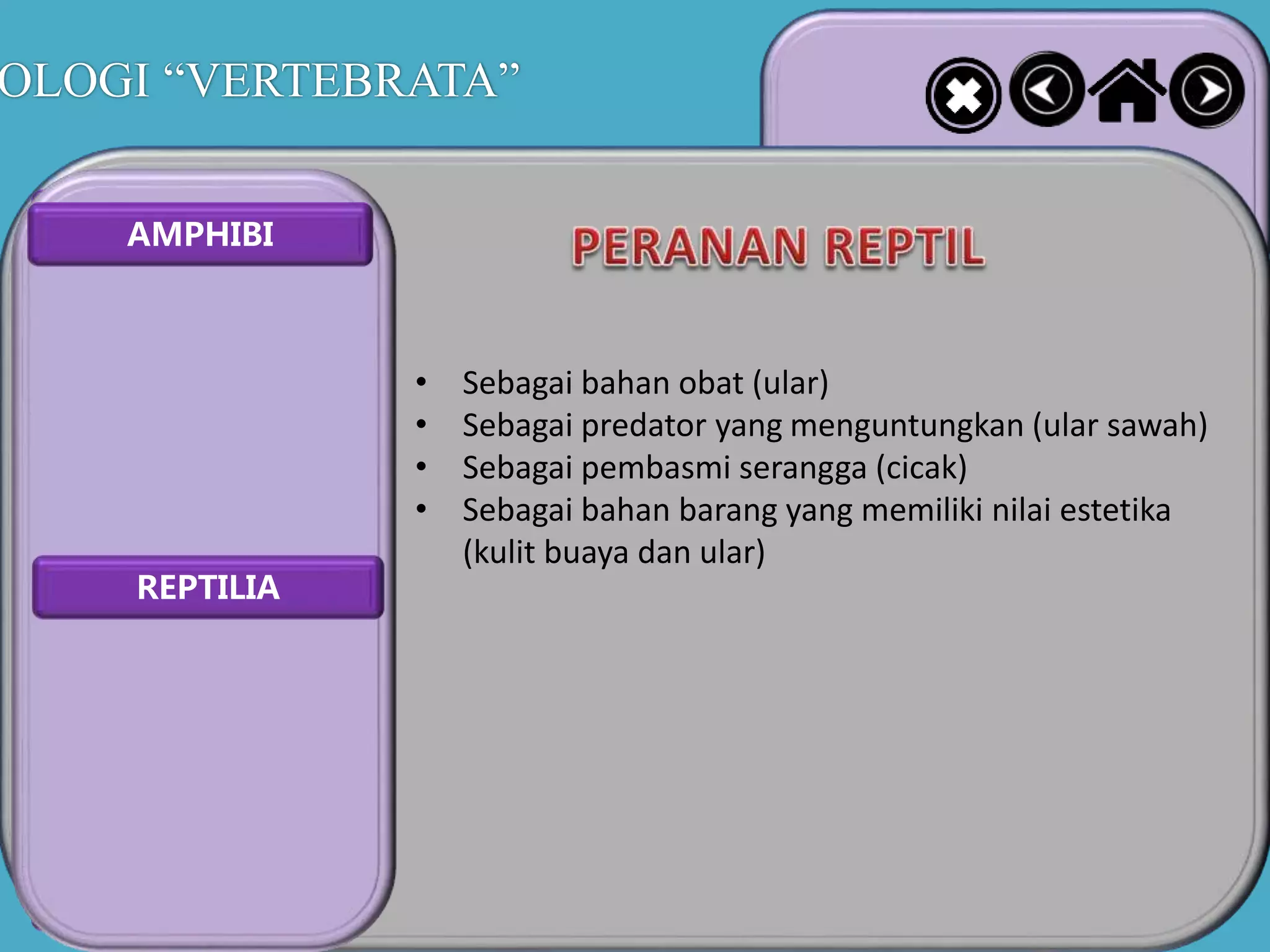 Amphibi dan Reptilia | PPTX